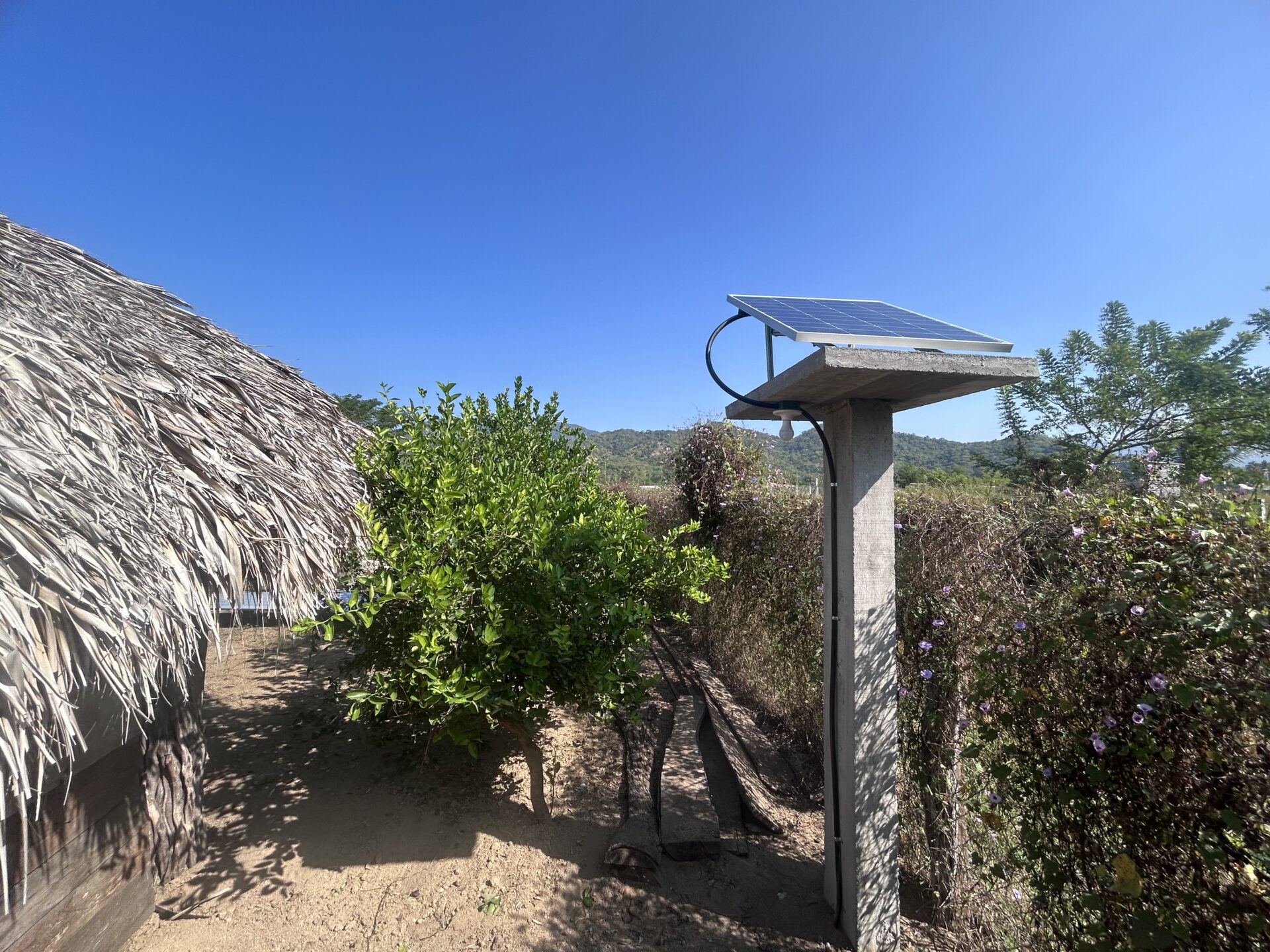 IBEW 993 Members Attend TRU Mexico Field School 2025 - Canadian ...